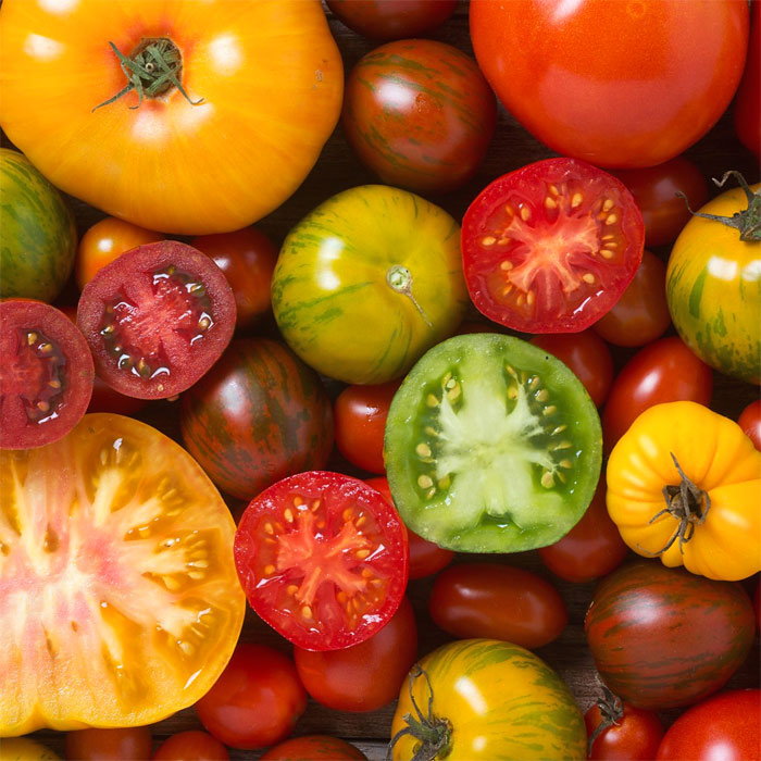 The Juicy Story of Tomatoes | Muzzarelli Farms, Vineland NJ