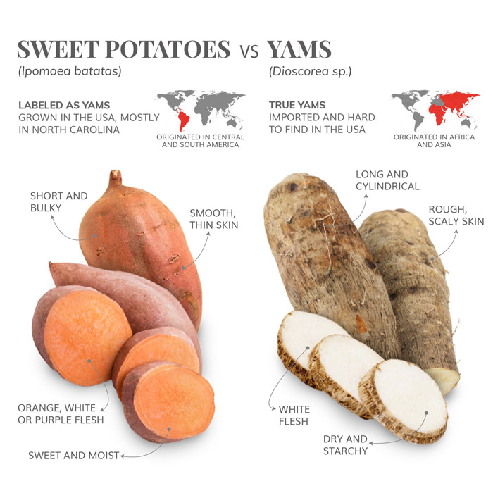 Yams Vs Sweet Potatoes Nutrition Yams Vs Sweet Potatoes: Nutritional